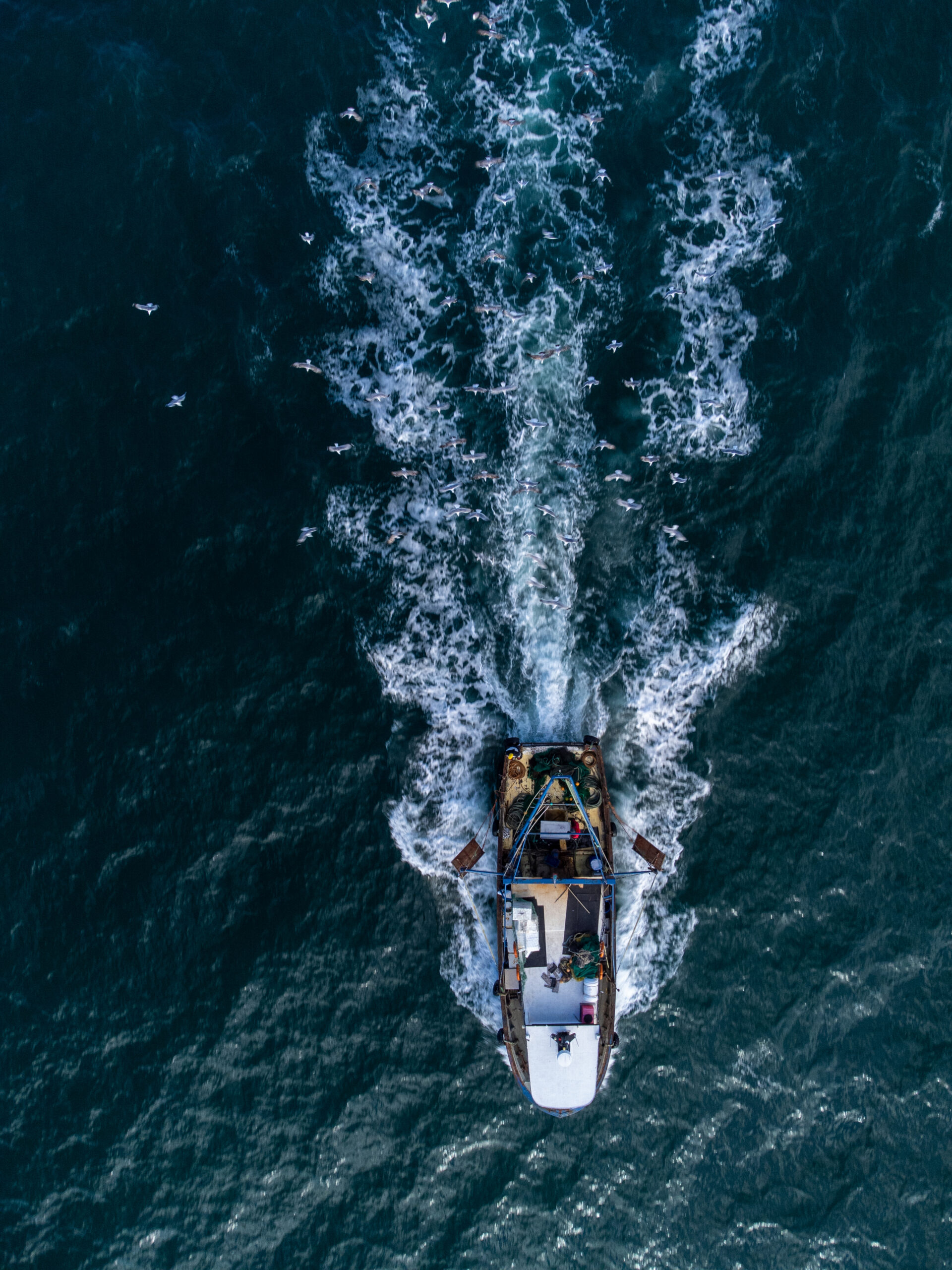 What Is My Mercury Outboard Serial Number? A Complete Guide
